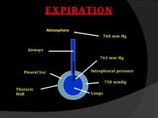 mechanism of respiration.pptx