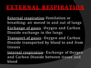mechanism of respiration.pptx | Lung and Respiratory Health | Diseases ...