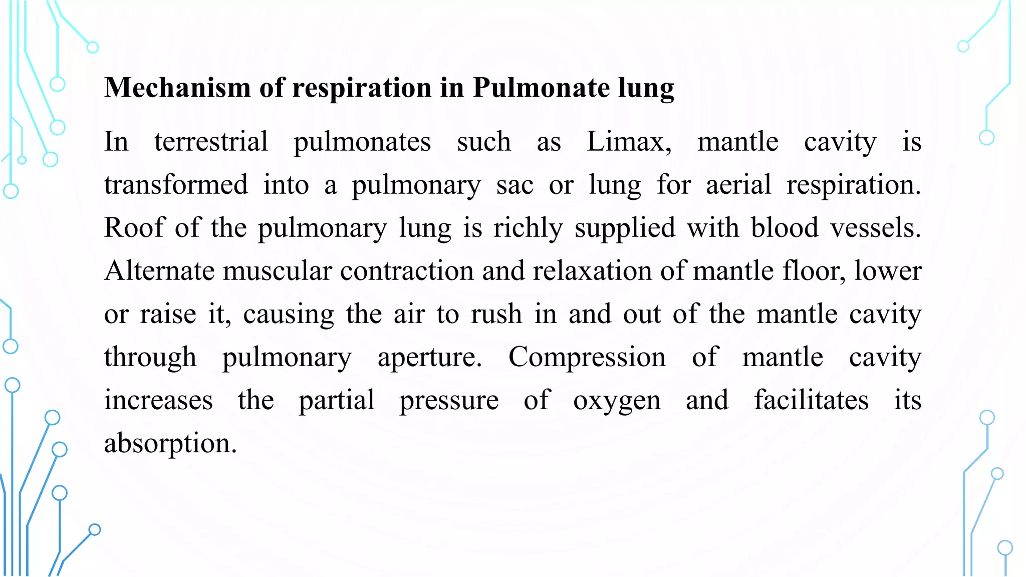 Mechanism of respiration in invertebrates.pptx | Lung and Respiratory ...