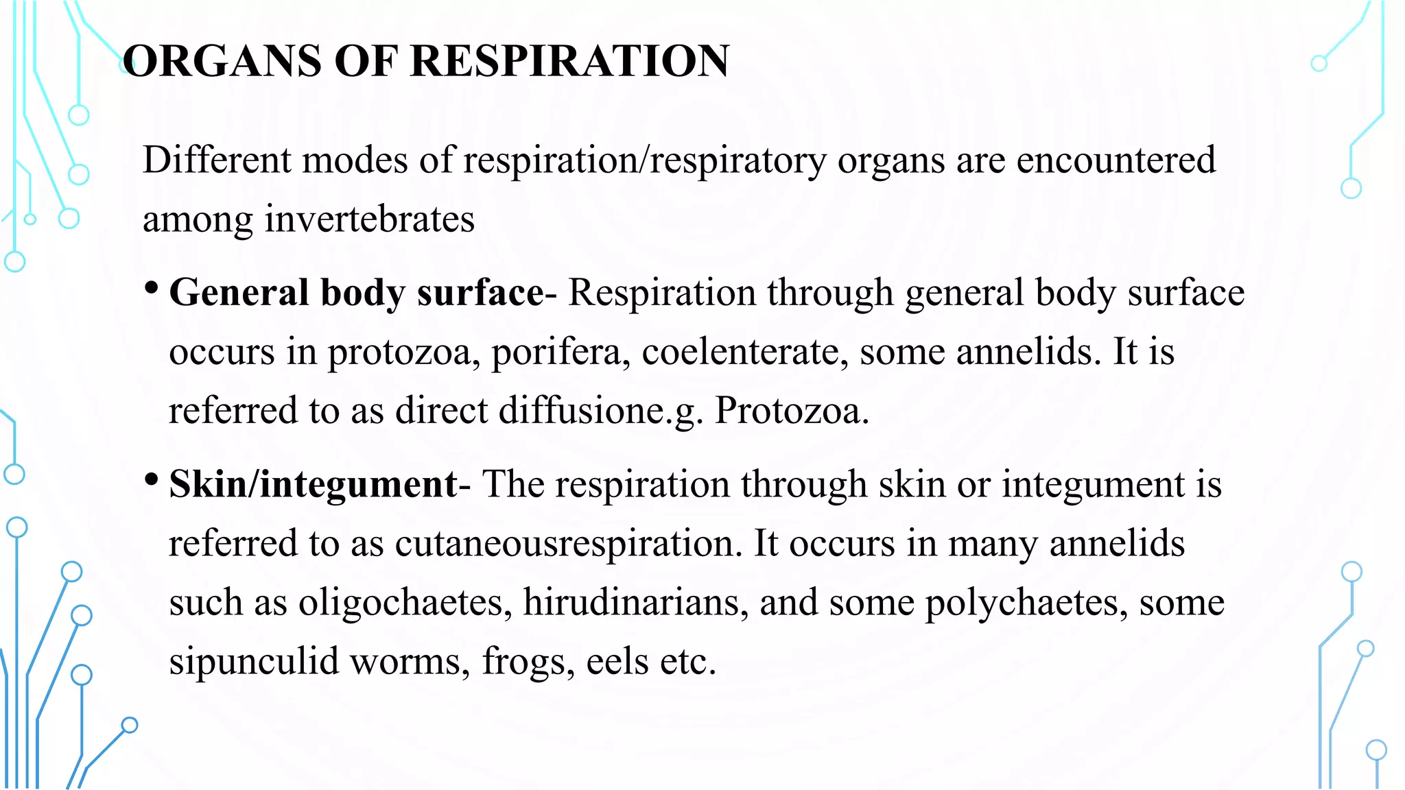 Mechanism of respiration in invertebrates.pptx
