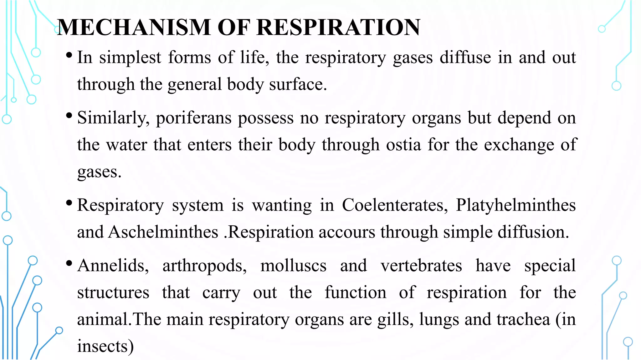 Mechanism of respiration in invertebrates.pptx