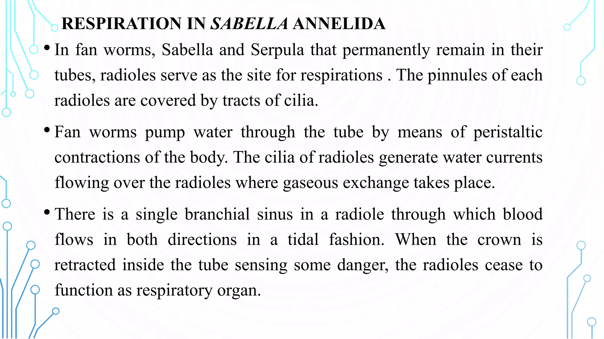 Mechanism of respiration in invertebrates.pptx