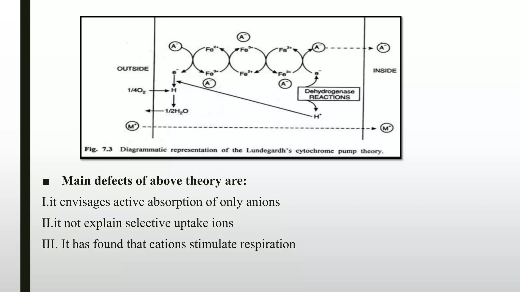 Mechanism of salt absorption and active absorption | PPTX