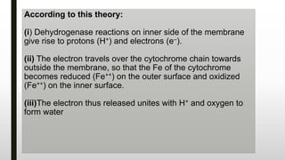 Mechanism of salt absorption and active absorption | PPTX