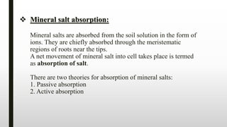 Mechanism of salt absorption and active absorption | PPTX