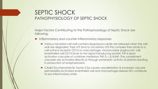 Mechanism of Septic Shock medical/medicine | PDF