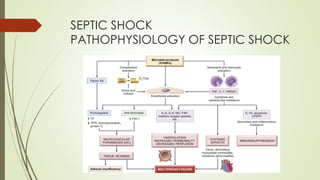 Mechanism of Septic Shock medical/medicine | PDF