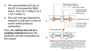Mechanism of skeletal muscle contraction and relaxation.pptx