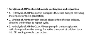 Mechanism of skeletal muscle contraction and relaxation.pptx