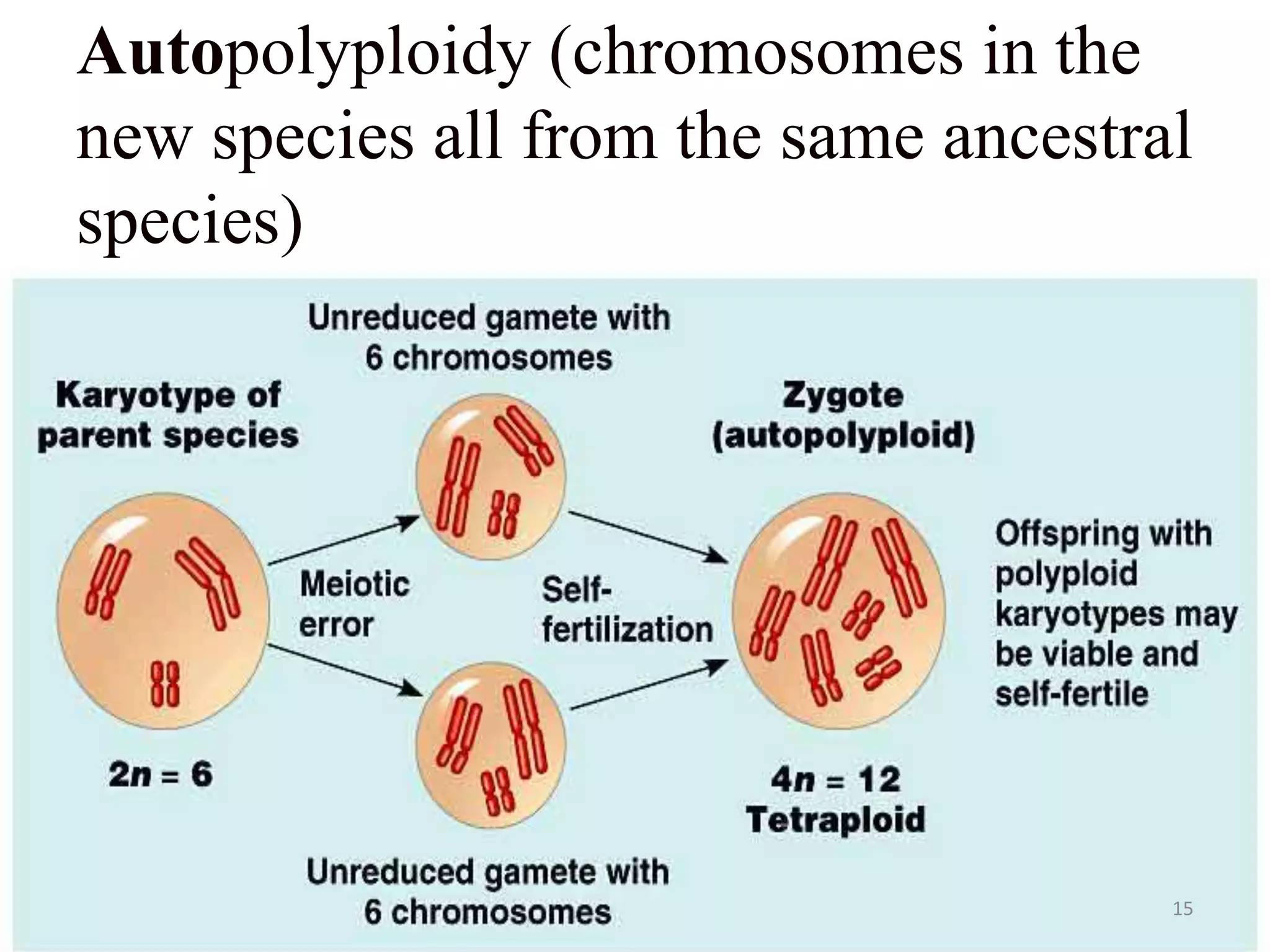 Mechanism Of Speciation | PPTX