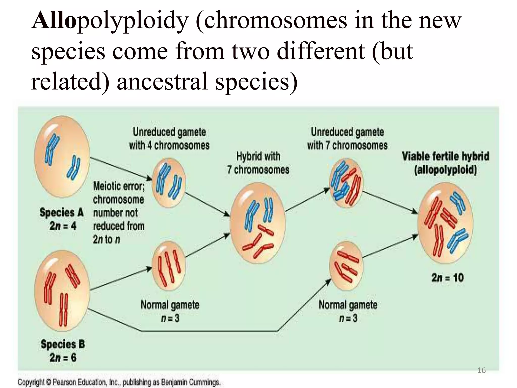 Mechanism Of Speciation | PPTX