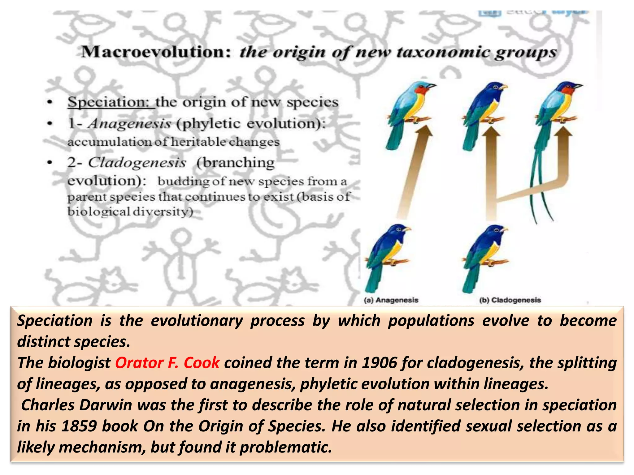 Mechanism of speciation | PPTX