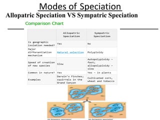 Mechanism of speciation | PPTX