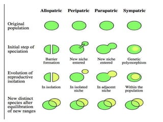 Sympatric Speciation Definition
