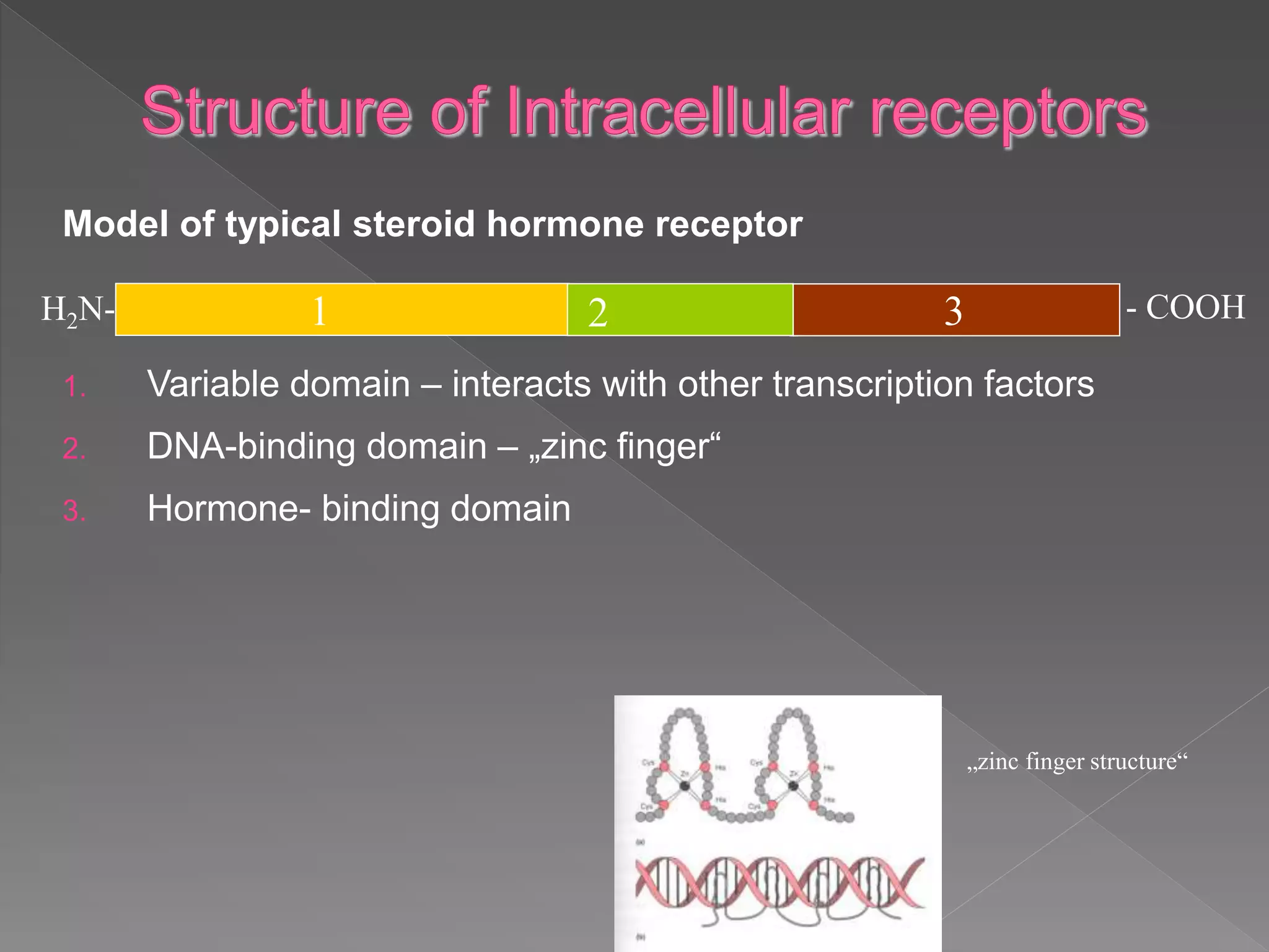 Mechanism of steroid hormone action | PPTX
