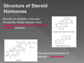 Mechanism of steroid hormone action | PPTX