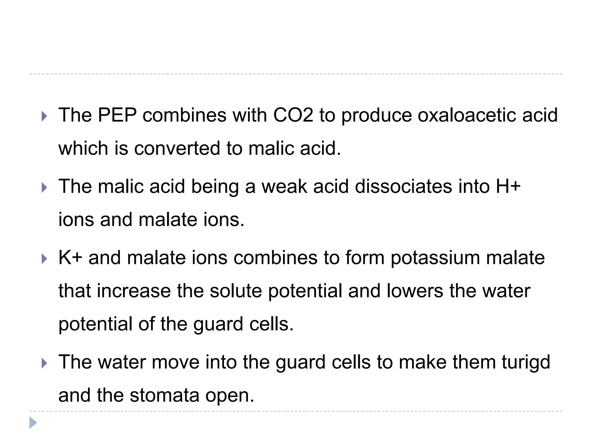 Mechanism of stomatal regulation | PPTX