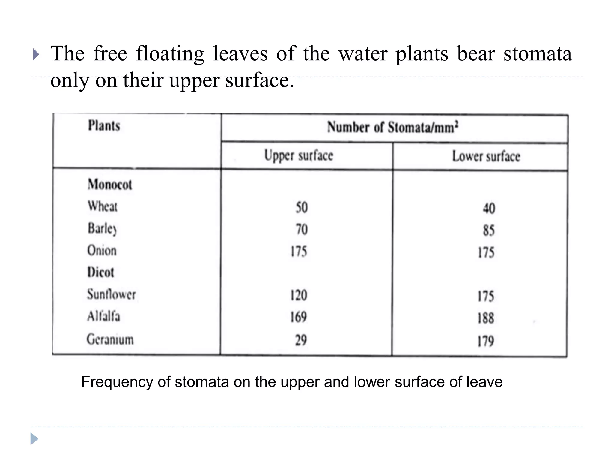 Mechanism of stomatal regulation | PPTX