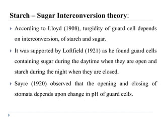 Mechanism of stomatal regulation | PPTX