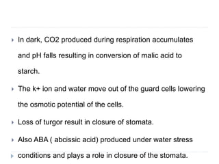 Mechanism of stomatal regulation | PPTX