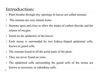 Mechanism of stomatal regulation | PPTX