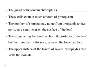 Mechanism of stomatal regulation | PPTX