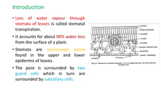 Mechanism of stomatal transpiration | PPTX