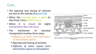 Mechanism of stomatal transpiration | PPTX