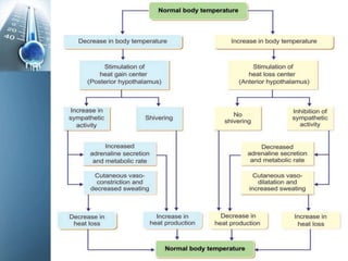 Mechanism of temperature regulation | PPTX