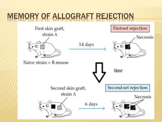 Mechanism of tissue graft rejection | PPTX