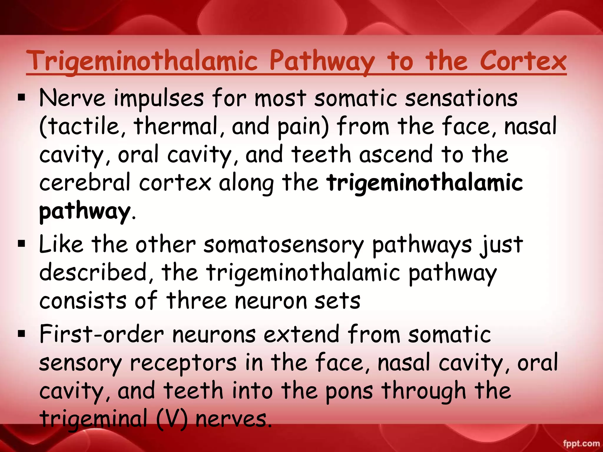 Mechanism of touch & temperature | PPTX