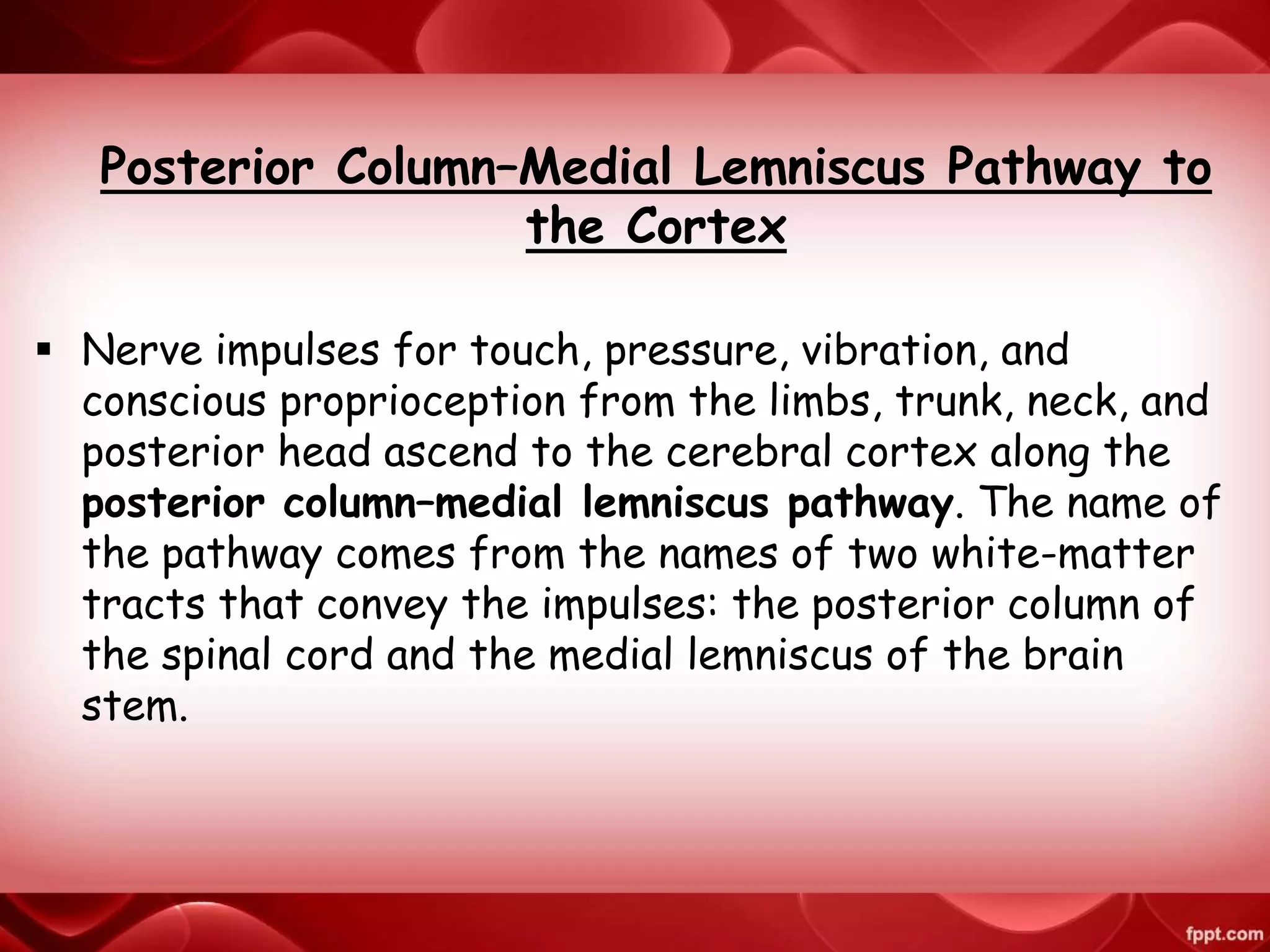 Mechanism of touch & temperature | PPTX