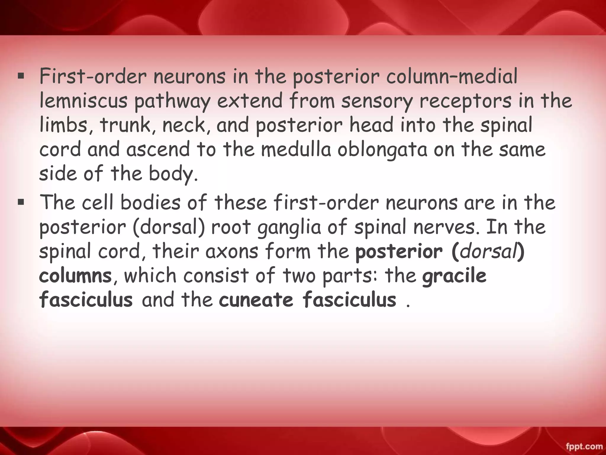 Mechanism of touch & temperature | PPTX