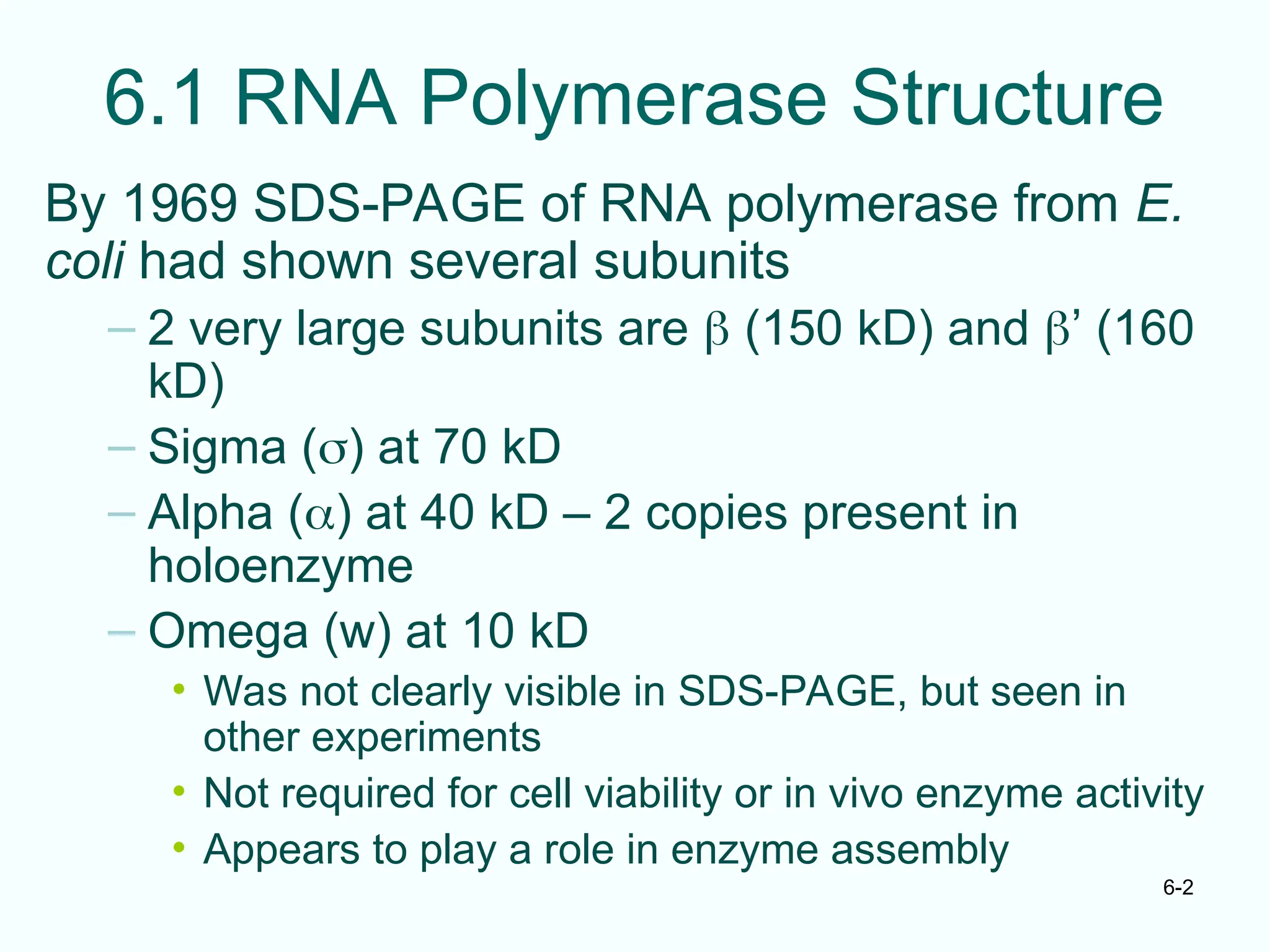 Mechanism of transcription in bacteria.ppt