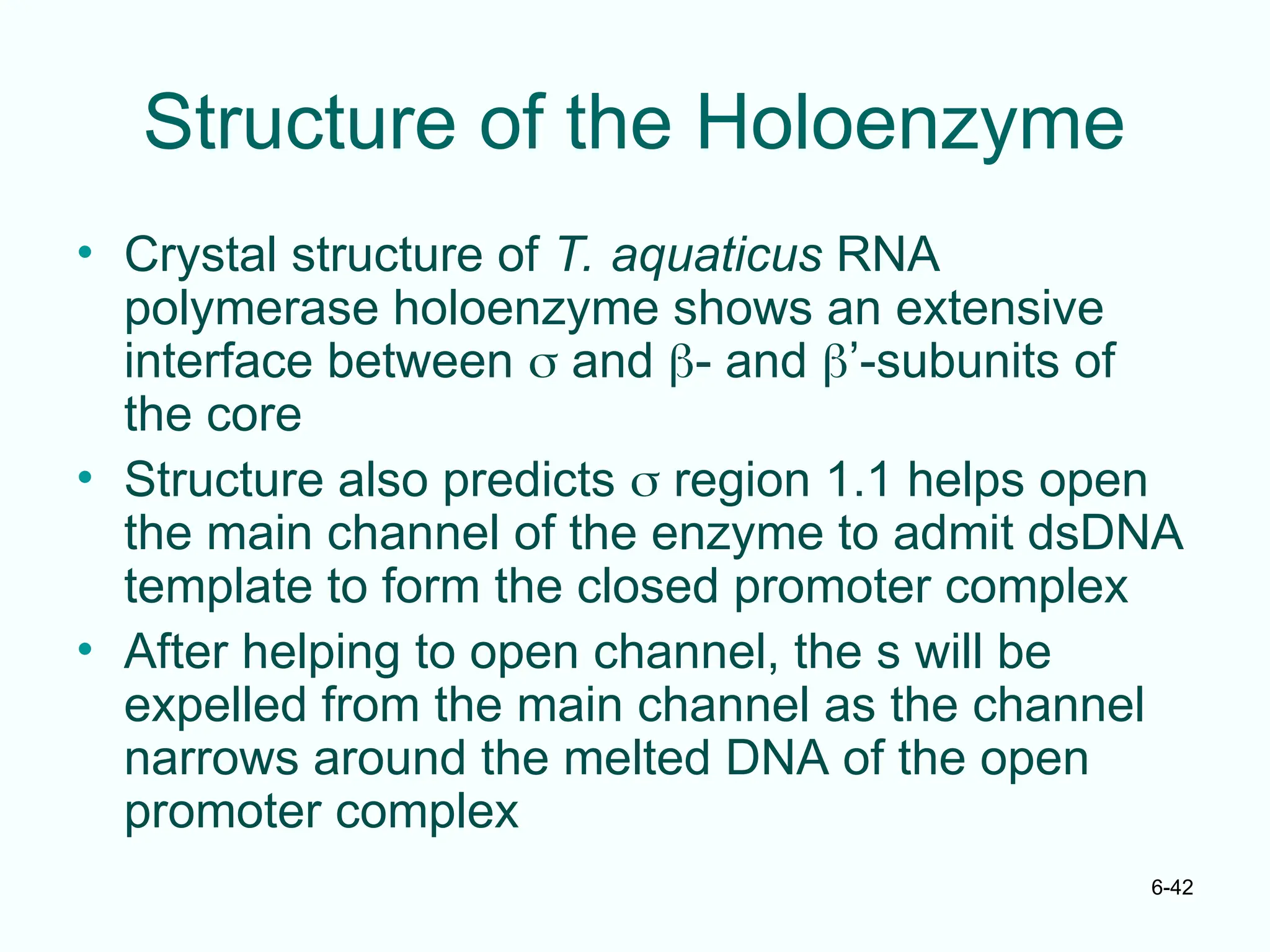 Mechanism of transcription in bacteria.ppt