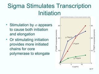Mechanism of transcription in bacteria.ppt