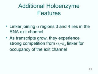 Mechanism of transcription in bacteria.ppt