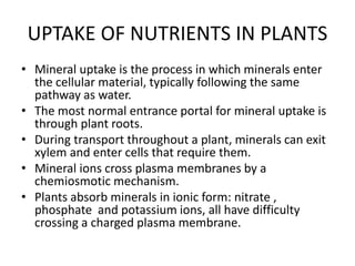Mechanism of uptake and transport of nutrient ions in plants | PPTX