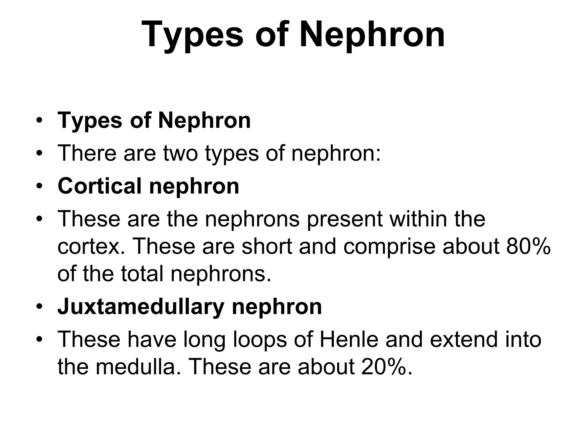 Mechanism of urine forming.ppt