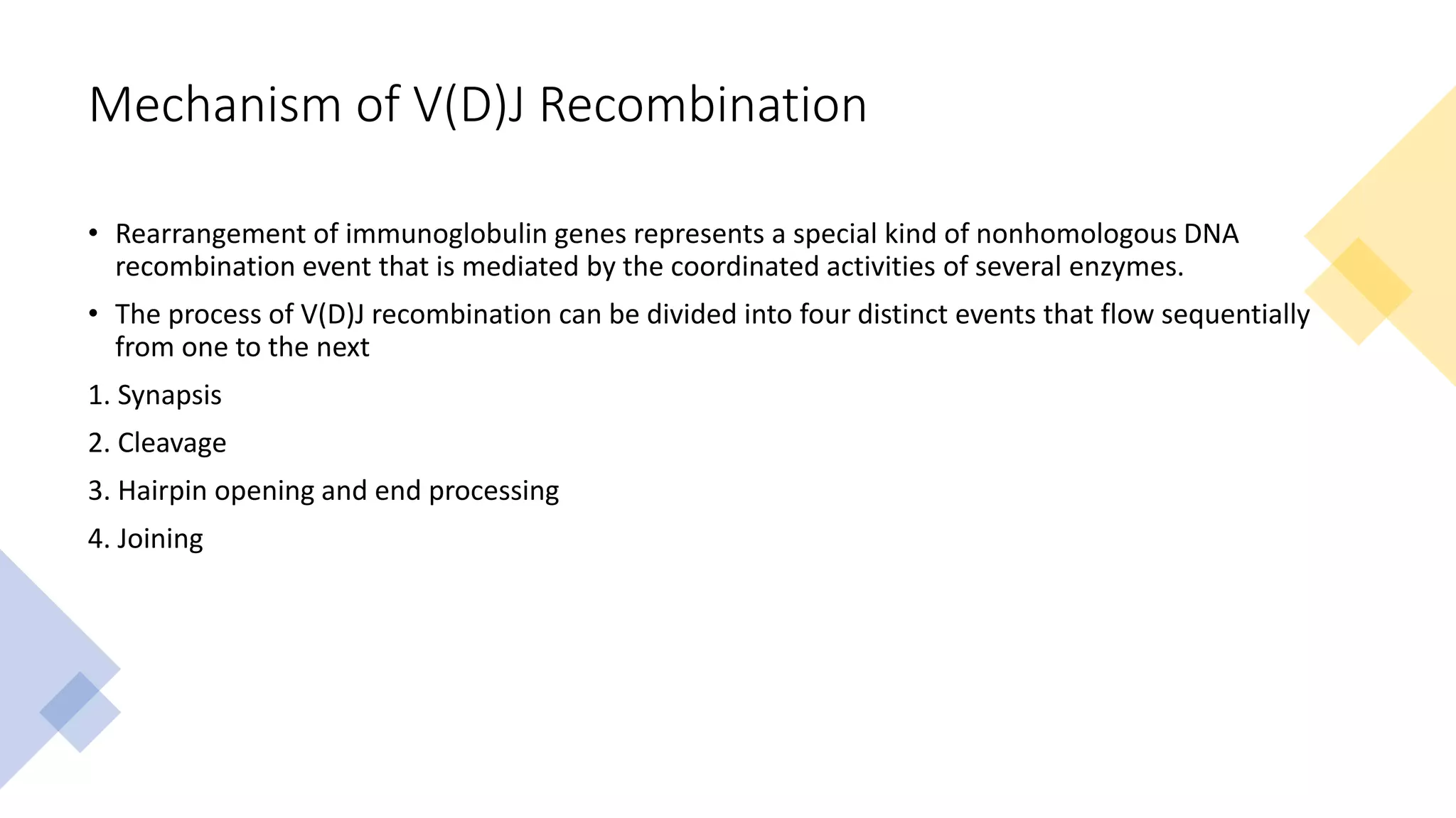 Mechanism of vd(j) recombination and generation of antibody diversity ...
