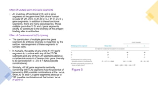 Mechanism of vd(j) recombination and generation of antibody diversity ...