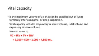 MECHANISM OF VENTILATION IN RESPIRATORY PHYSIOLOGY | PPTX
