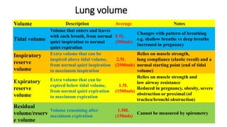 MECHANISM OF VENTILATION IN RESPIRATORY PHYSIOLOGY | PPTX