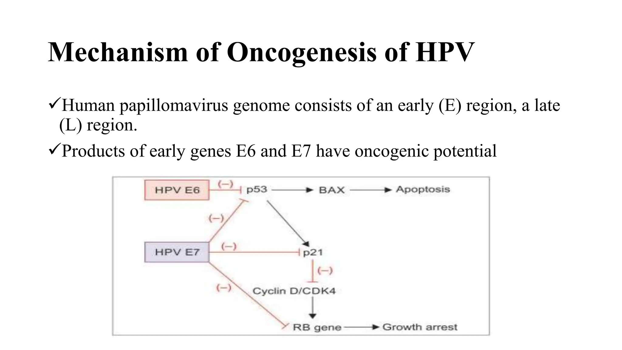 MECHANISM OF VIRAL ONCOGENESIS.pptx