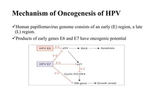 MECHANISM OF VIRAL ONCOGENESIS.pptx