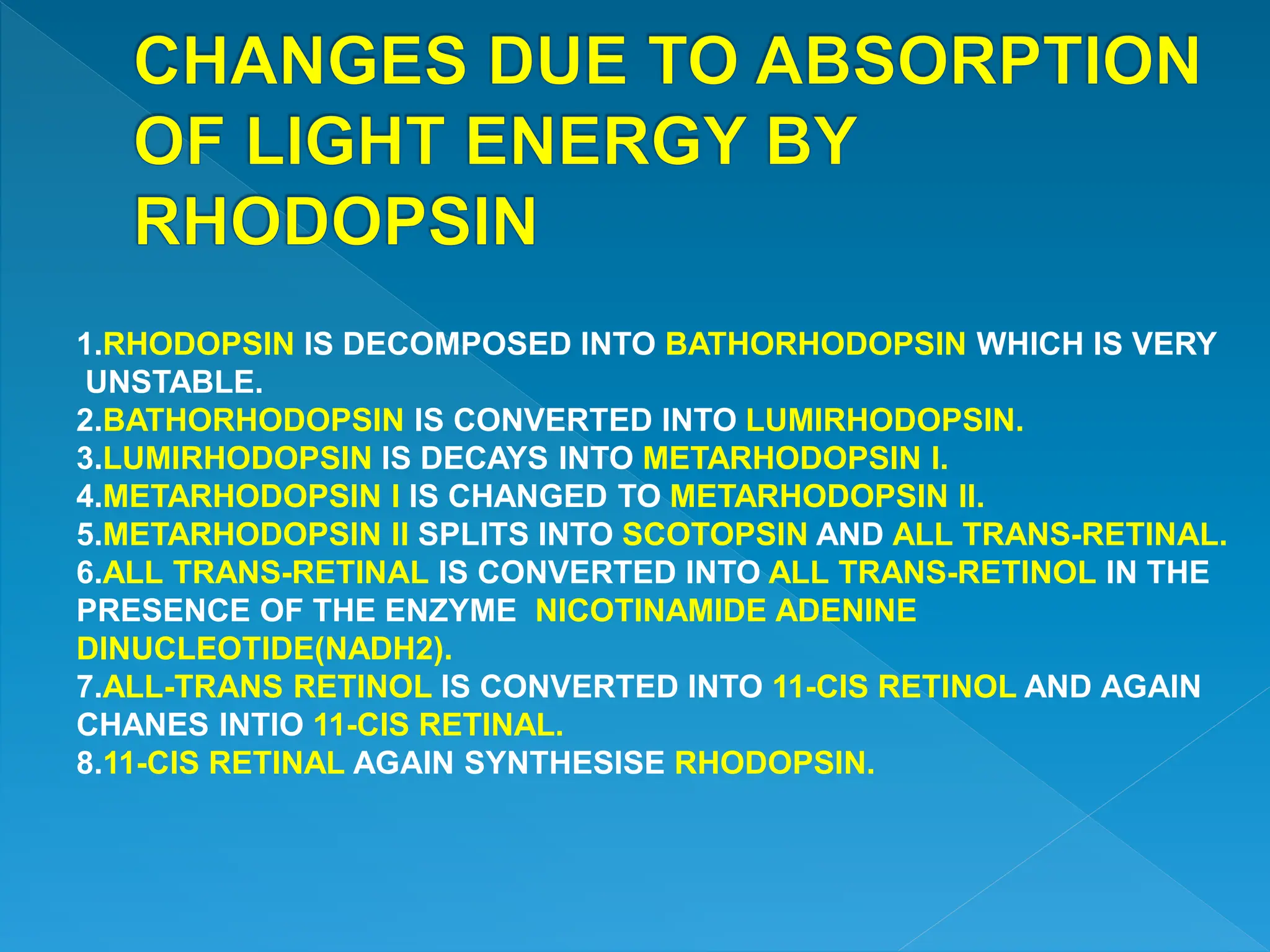 Mechanism of Vision in Human Beings with Diagram | PPTX