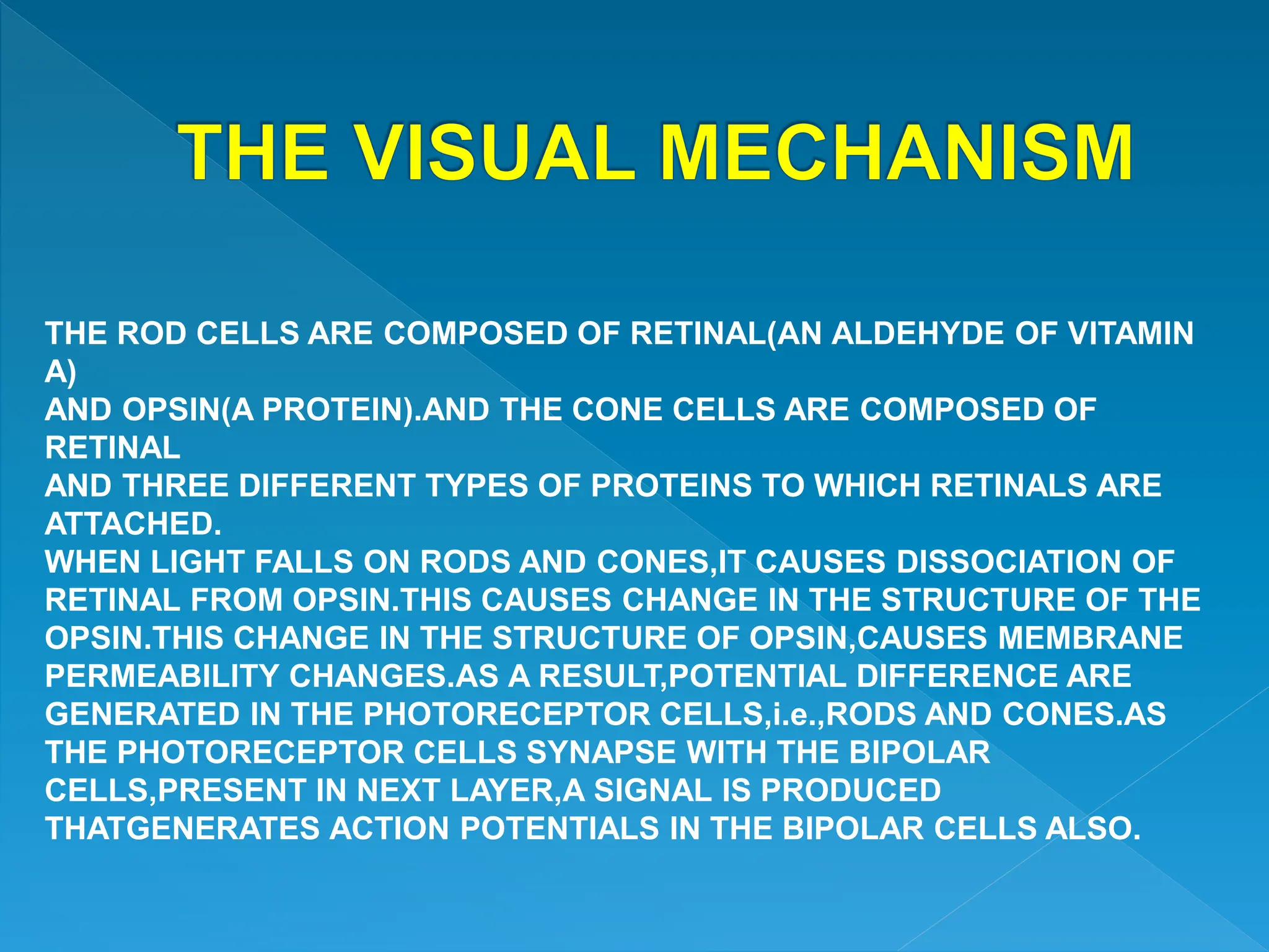 Mechanism of Vision in Human Beings with Diagram | PPTX