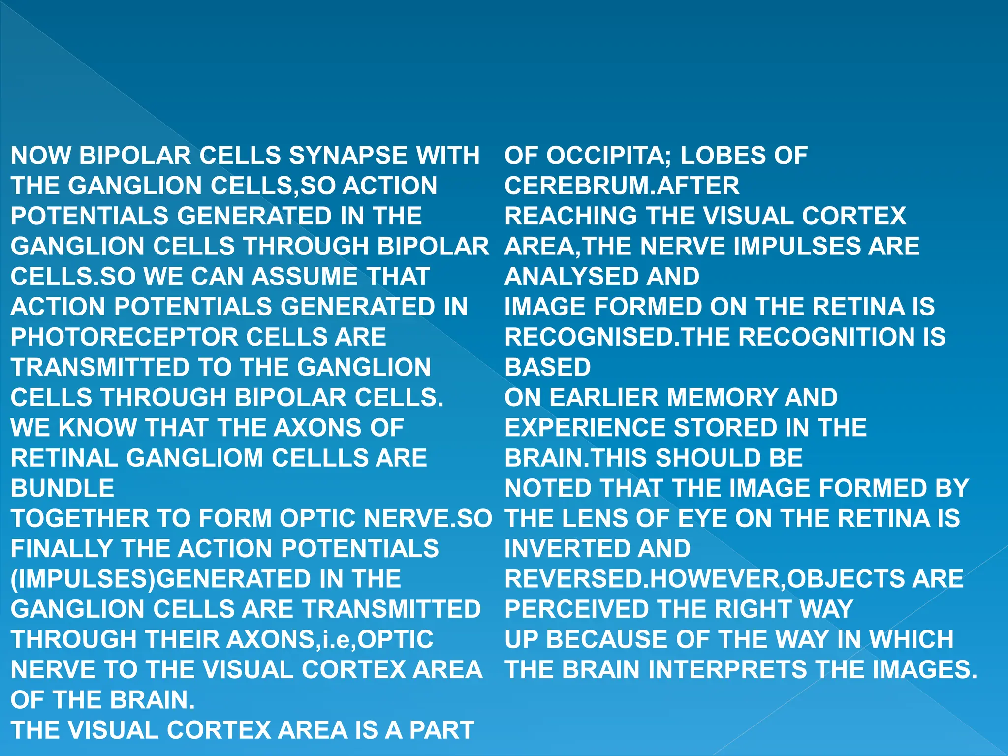 Mechanism of Vision in Human Beings with Diagram | PPTX