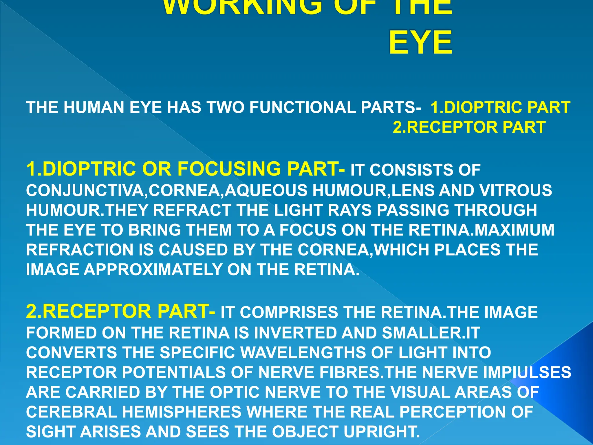 Mechanism of Vision in Human Beings with Diagram | PPTX