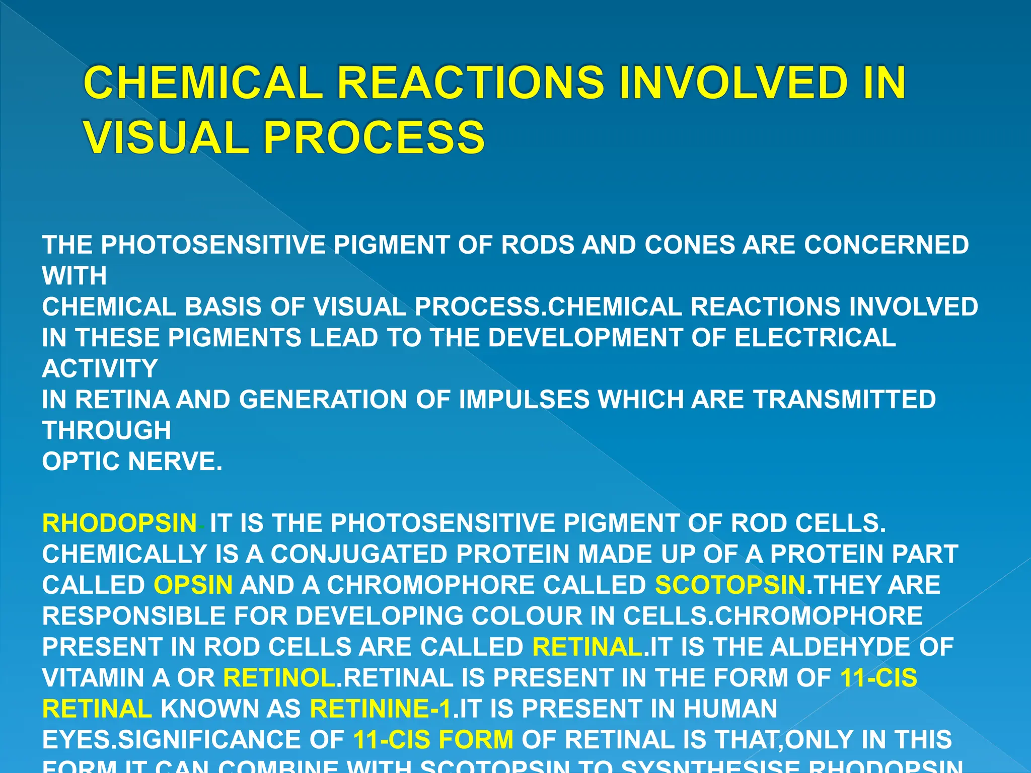 Mechanism of Vision in Human Beings with Diagram | PPTX